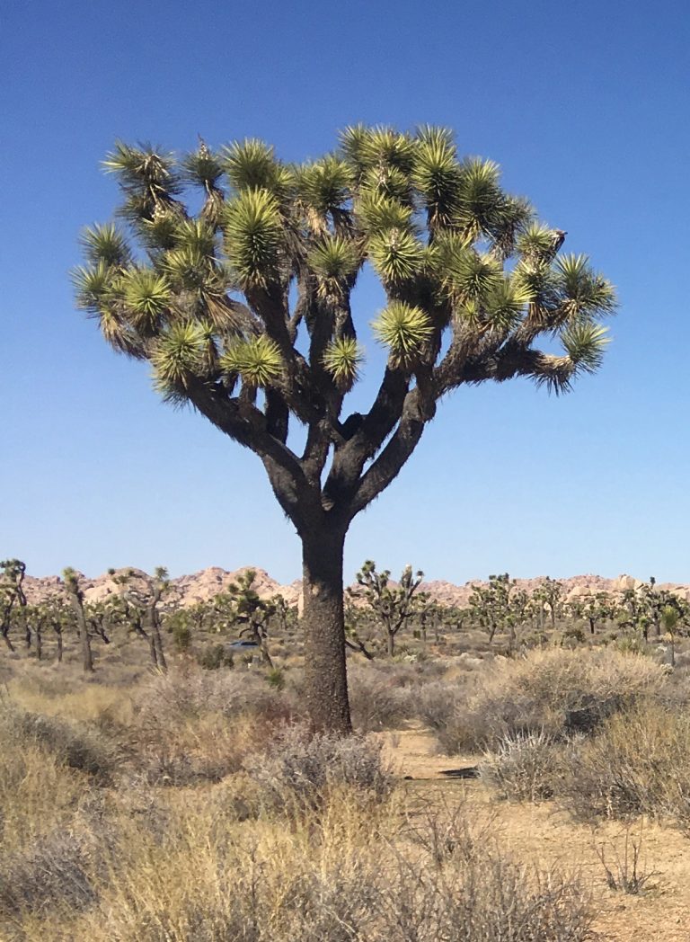 Getting Started – AFE Solutions